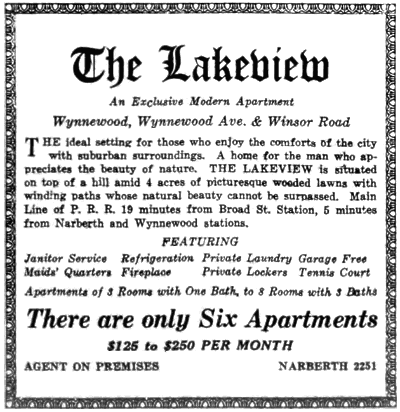 Last Days of the Lakeview: Narberth Stories